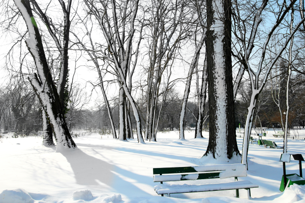 What is Your Book Marketing Season?